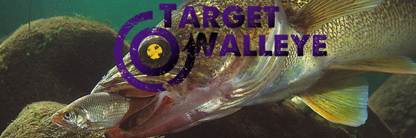 Target Walleye - The best news and tips on walleye fishing!