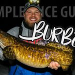 Ned Rig: The best WALLEYE bait no one’s throwing – Target Walleye