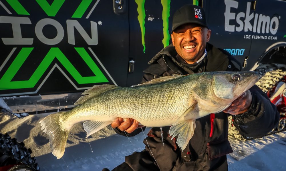 Special Issue: Multi-species mayhem in Manitoba – Target Walleye