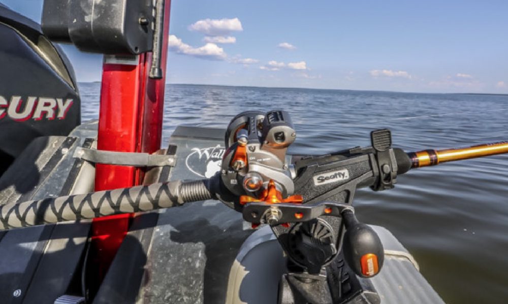 High speed line-counters are a thing! – Target Walleye