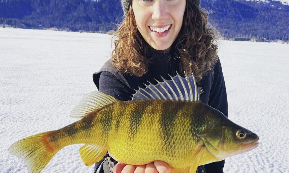 Fattest perch ever, How Roach Jigging Raps, Fish grab of the year ...