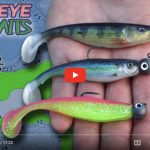 Ned Rig: The best WALLEYE bait no one’s throwing – Target Walleye