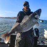 Ned Rig: The best WALLEYE bait no one’s throwing – Target Walleye