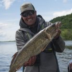 Ned Rig: The best WALLEYE bait no one’s throwing – Target Walleye