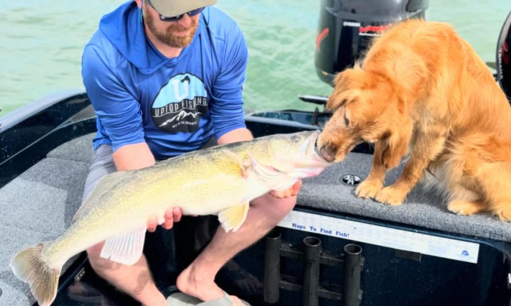 slip bobber walleye fishing – Target Walleye