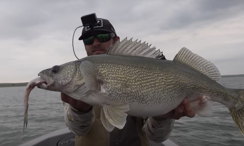 Target Walleye – The best news and tips on walleye and ice fishing!