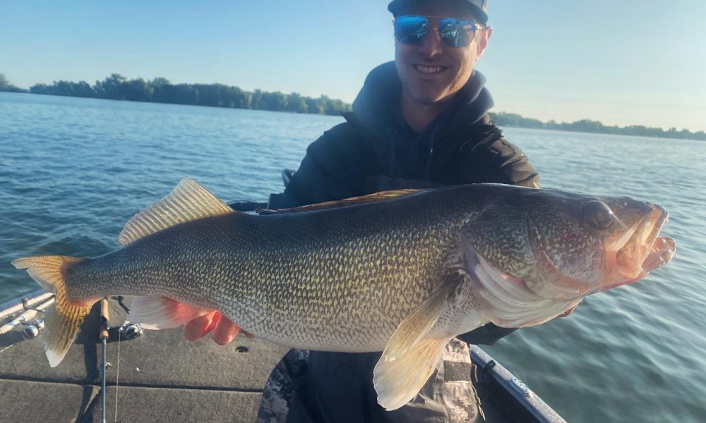 Ultimate finesse rig, Fall turnover explained, Crayfish vs minnow baits ...