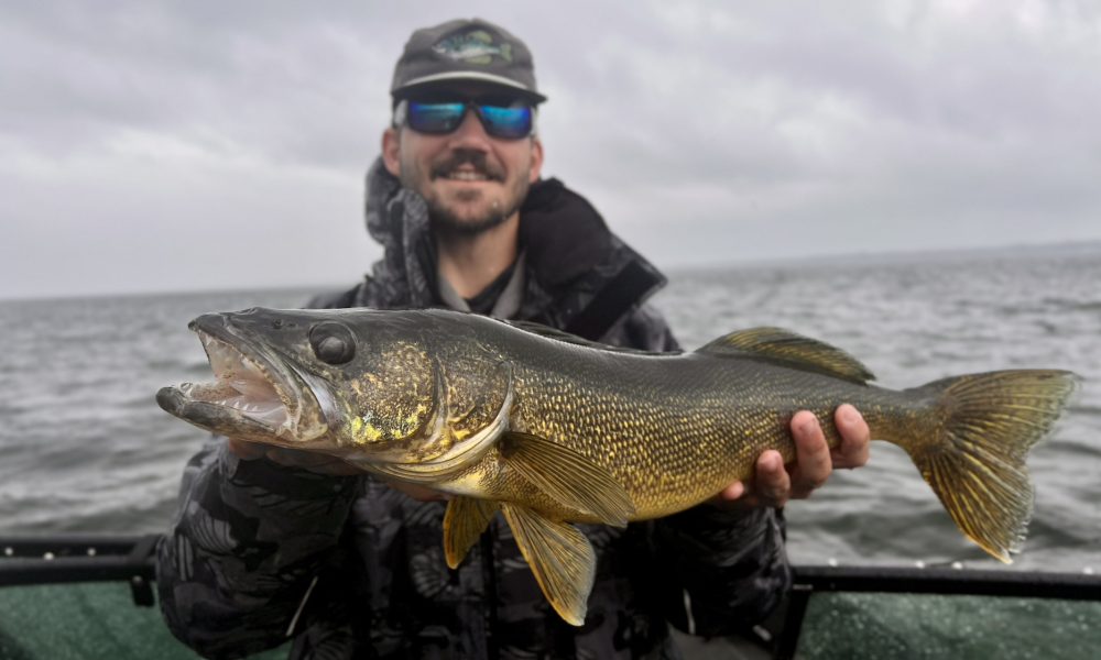 Live sonar masterclass, Calibrate your line-counter, Fishing for deers ...