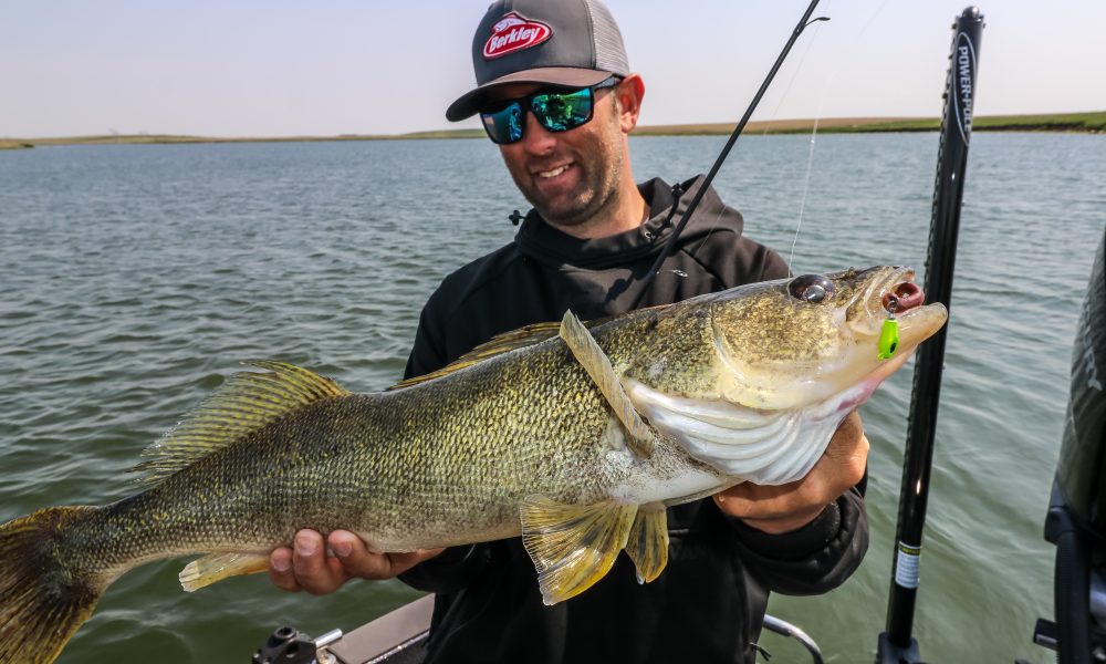 New walleye fishing stuff from ICAST 2025 – Target Walleye