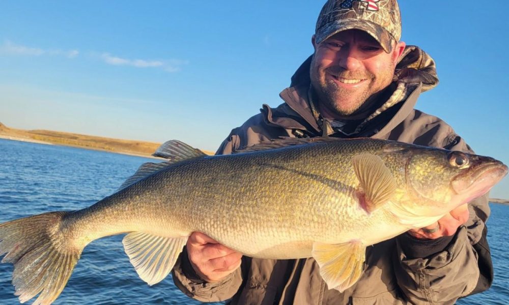 Best fall baits, Find the greenest weeds, Teener of the week – Target ...